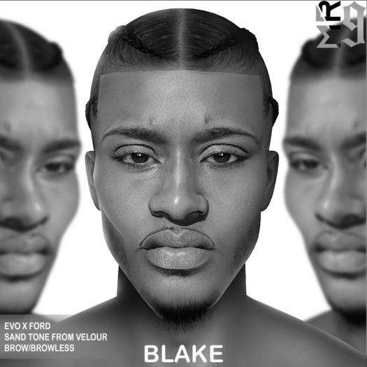 Second Life Marketplace Blake Skin Demo Evo X